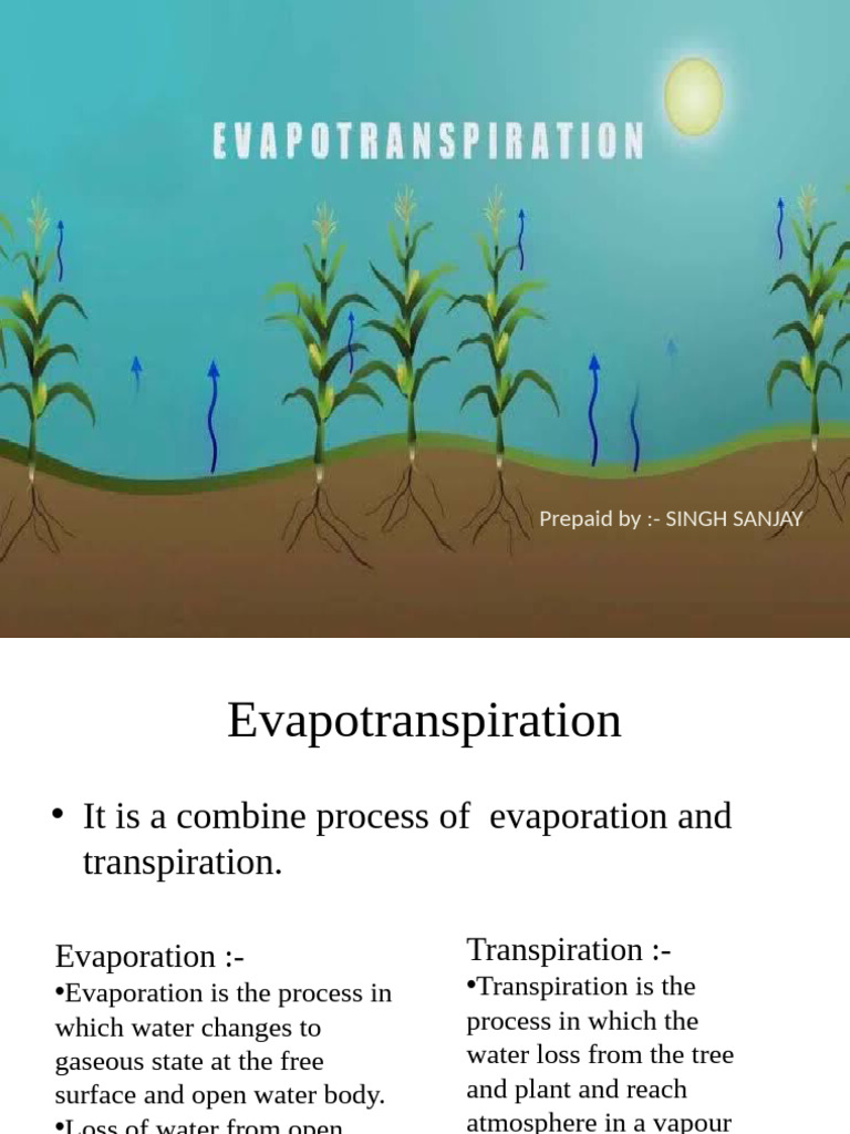 evapotranspiration | PDF | Evapotranspiration | Physical Geography