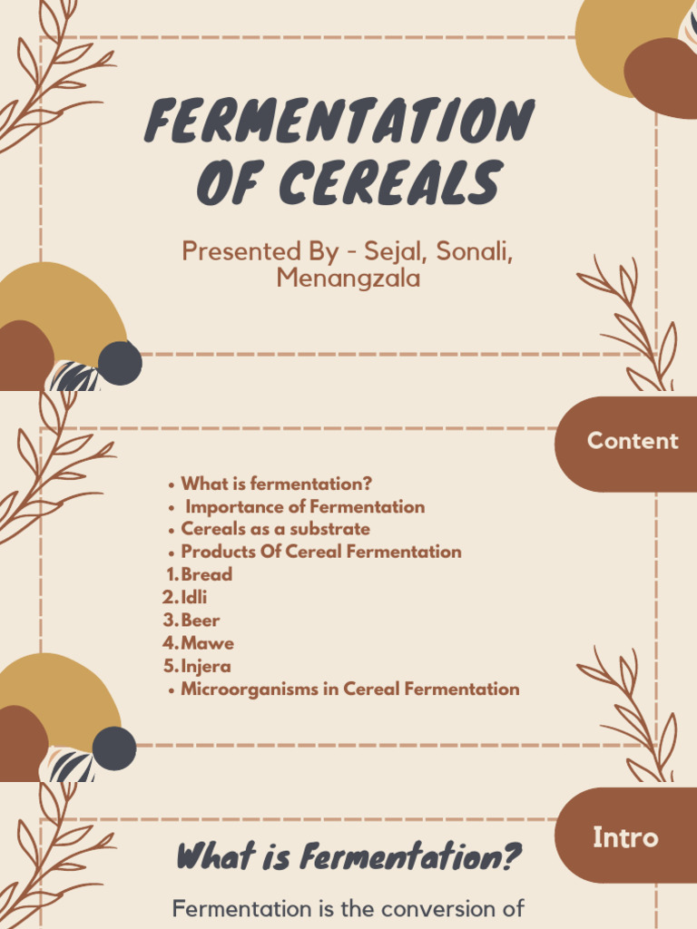 Fermentation of Cereals | PDF | Brewing | Beer