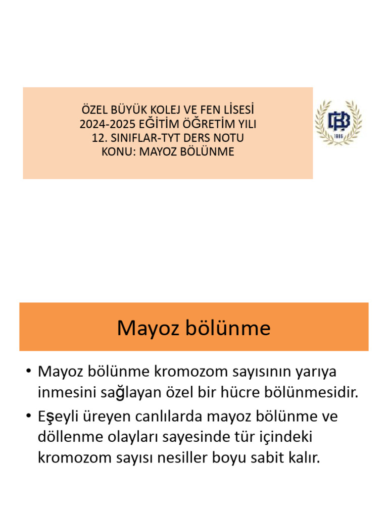 19.mayoz Bölünme | PDF