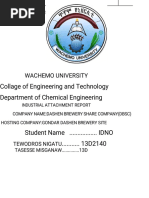 Dashen Beer | PDF | Brewing | Beer