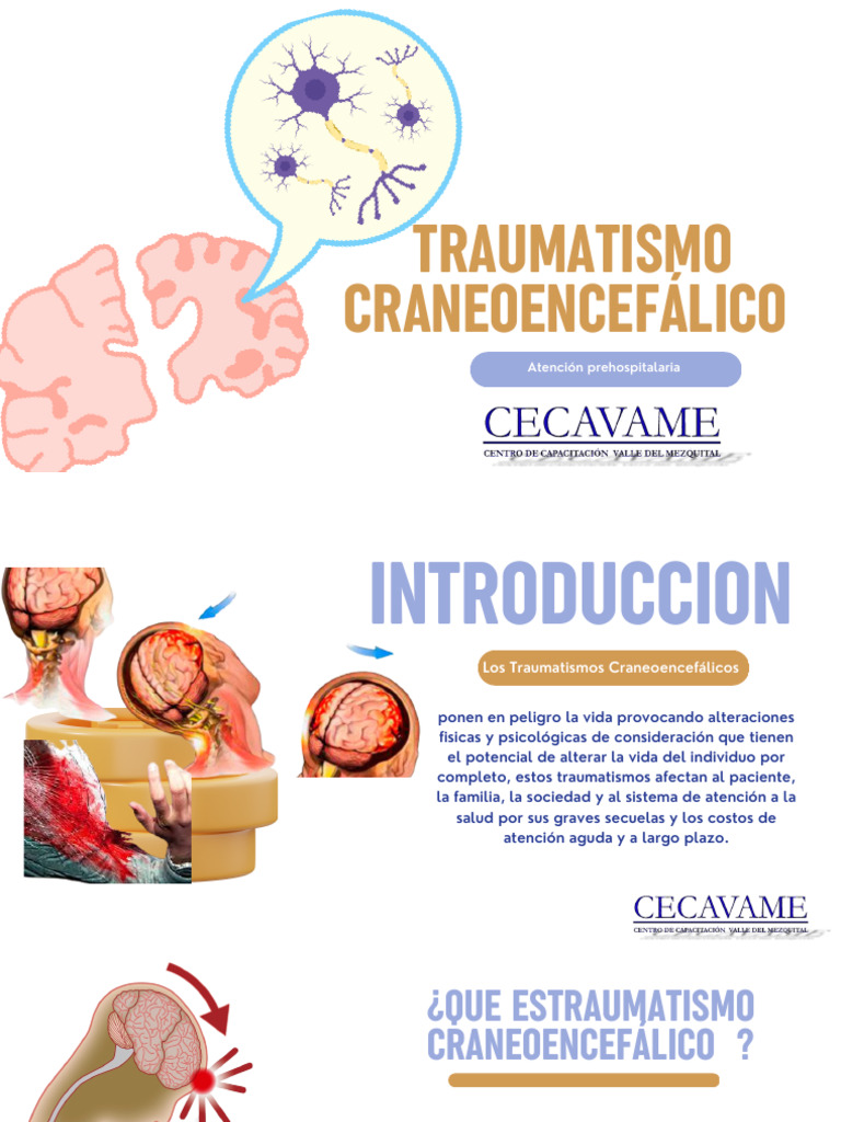 Guía sobre Traumatismo Craneal y Atención | PDF | Lesión cerebral ...