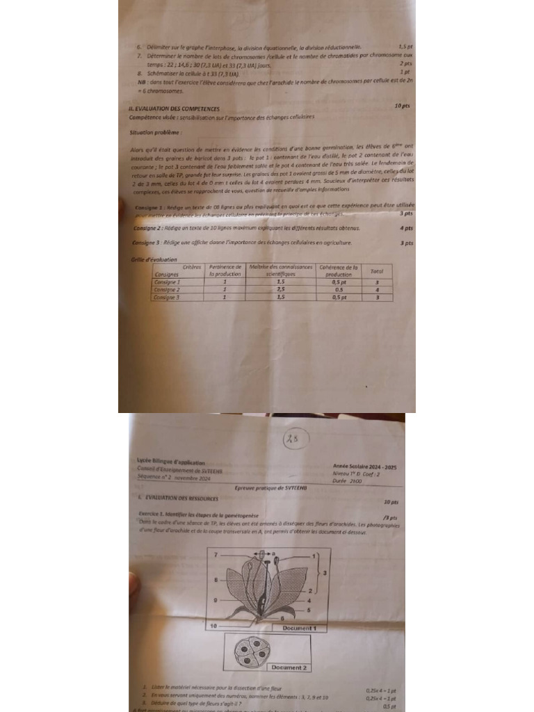 SVTEEHB Tle D LNE | PDF