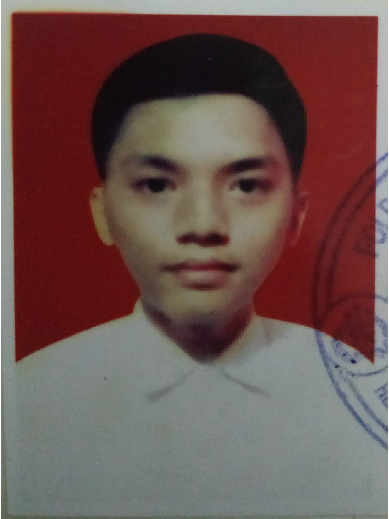 CV DIONMS - Compressed | PDF