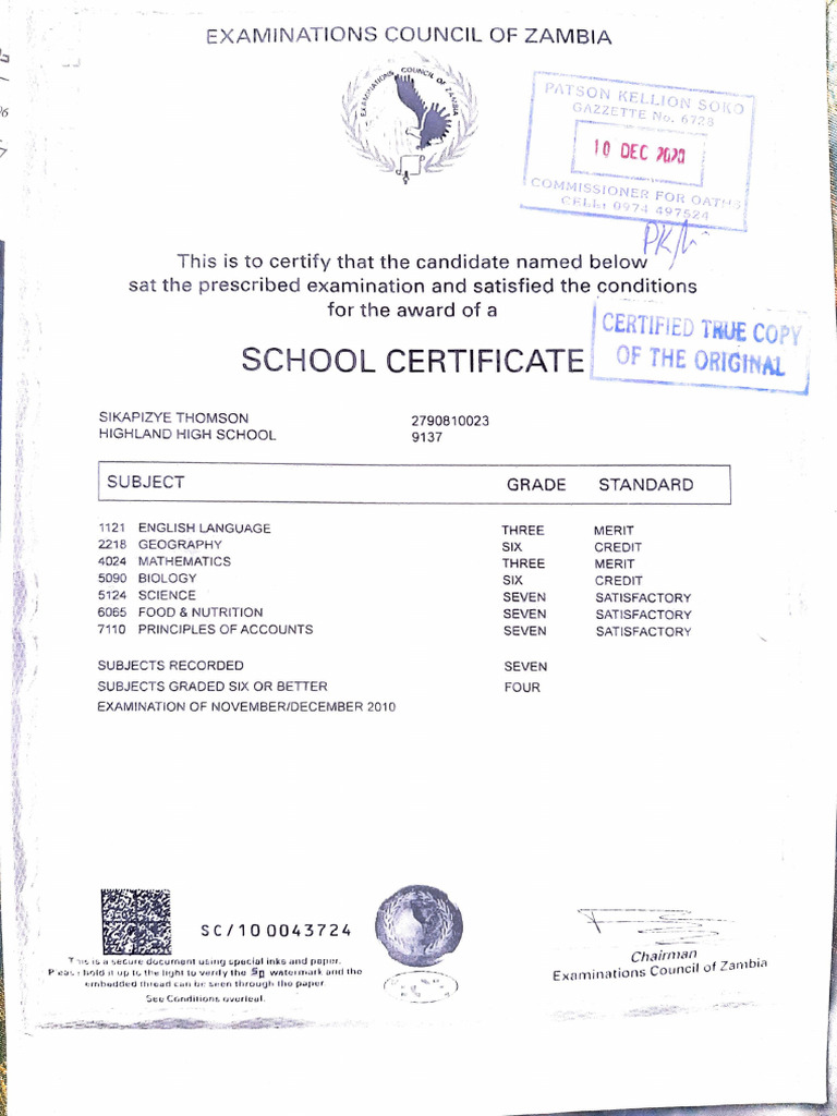 Certified School Certificate | PDF