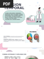 Fosa Temporal Anatomía, Límites y Contenido Ke | PDF | Cráneo | Sistema ...
