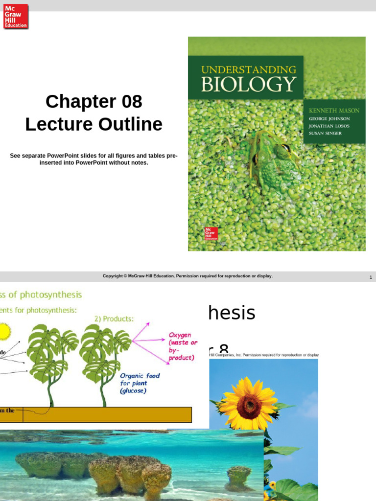 Chapter 8 Power Point (GBI) - 1 | PDF | Photosynthesis | Chlorophyll