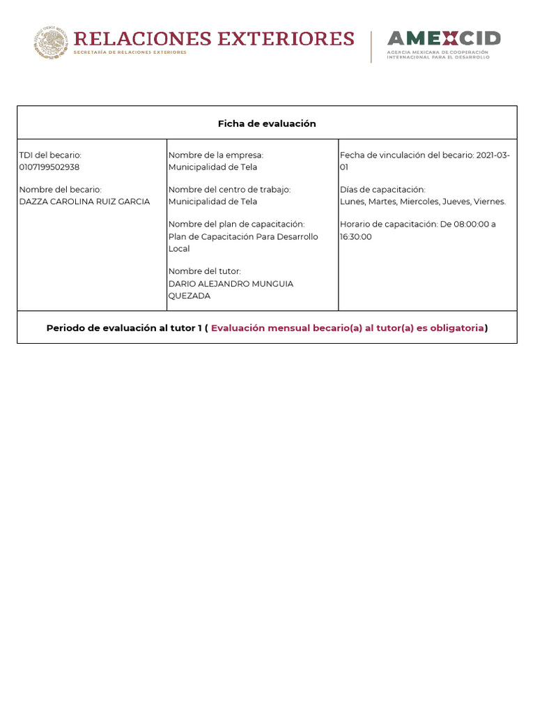 Ficha de Evaluación Tutor | PDF
