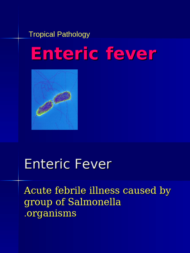 Enteric_fever_master | PDF | Salmonella | Gastrointestinal Tract