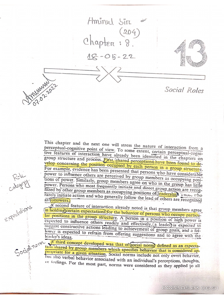 Social Role | PDF