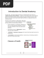 NEBDN Dental Charting Book APRIL 2015 | PDF | Tooth | Dental Anatomy