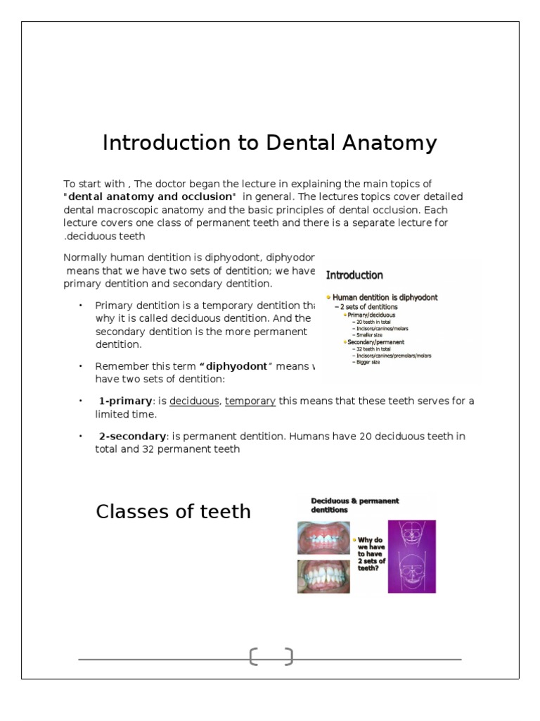 Intro To Dental Anatomy | PDF | Tooth | Facial Features