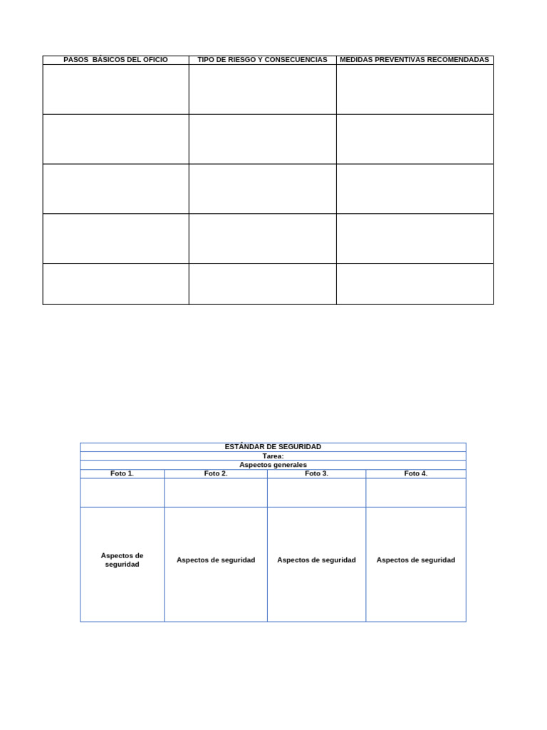 Fsst - 012 Formato Aro | PDF