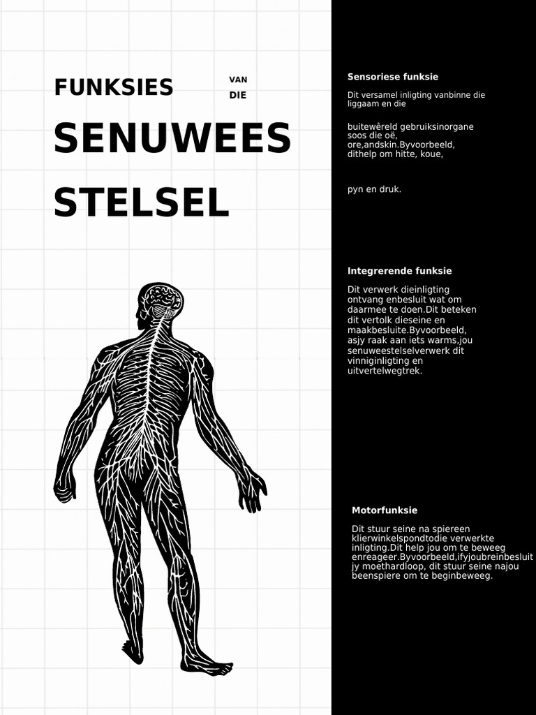 Translated Functions of the Nervous System Poster in Black White Simple ... Translated Functions of the Nervous System Poster in Black White Simple ...