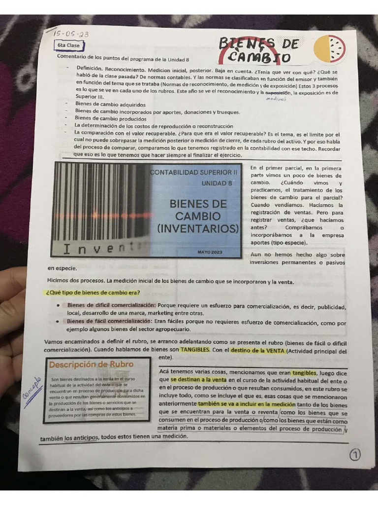 Bienes de Cambio | PDF