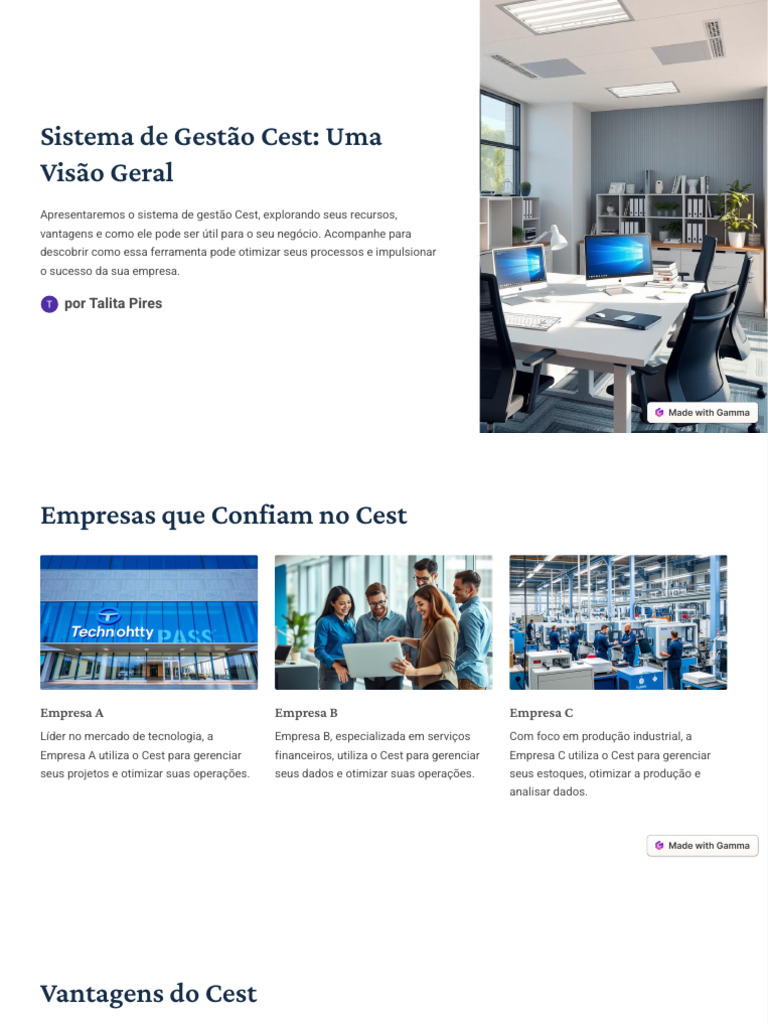 Sistema de Gestao Cest Sem Logomarca | PDF | Despesa | Business