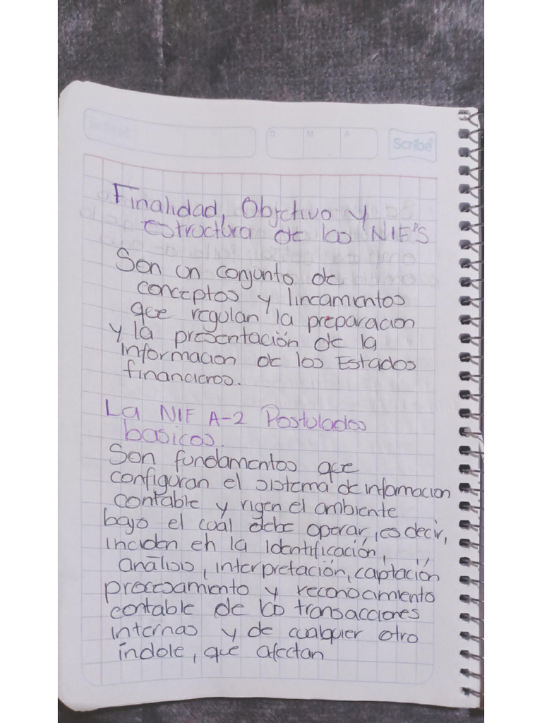Estructura de Las Nif's | PDF