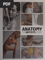 Morpho Simplified Forms Anatomy For Artists | PDF