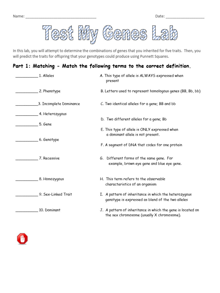 Lab 6 Test My Genes Lab - Final | PDF | Genotype | Dominance (Genetics)