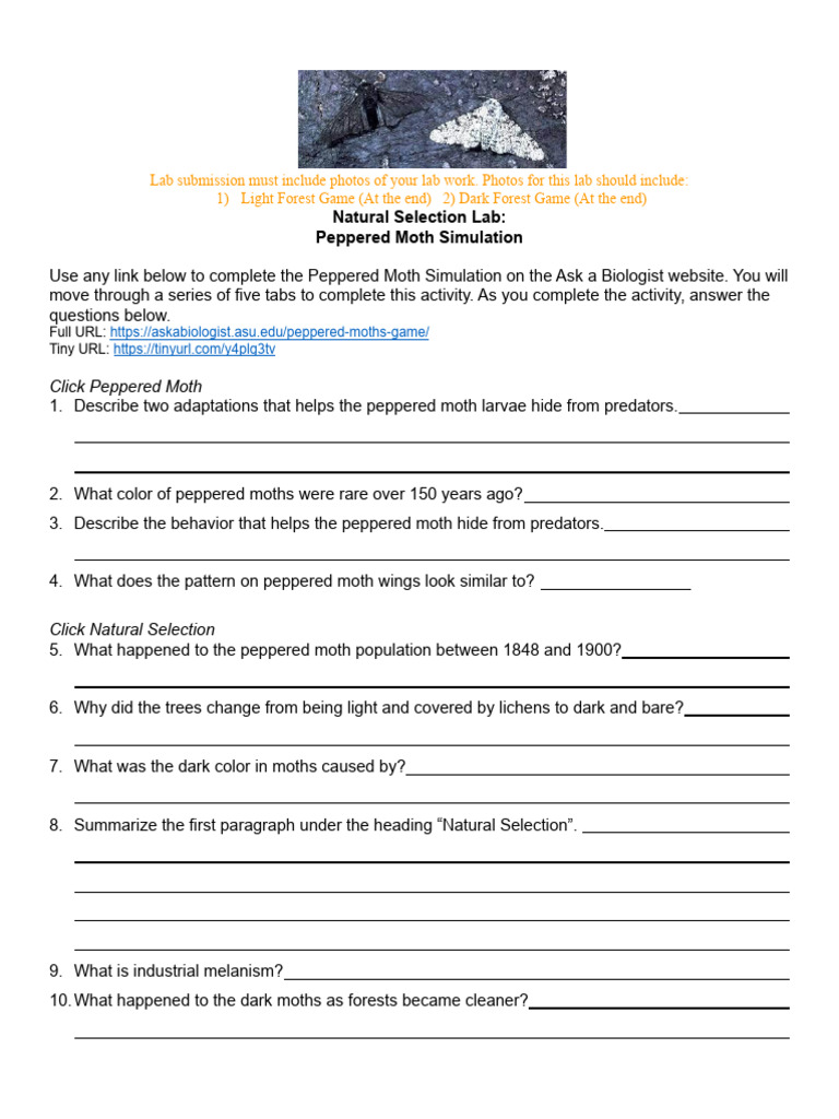 Lab 9 Natural Selection Lab | PDF