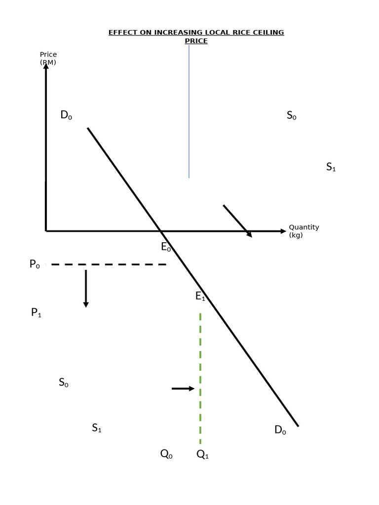 Eco1013 Assignment Curve Drawing | PDF