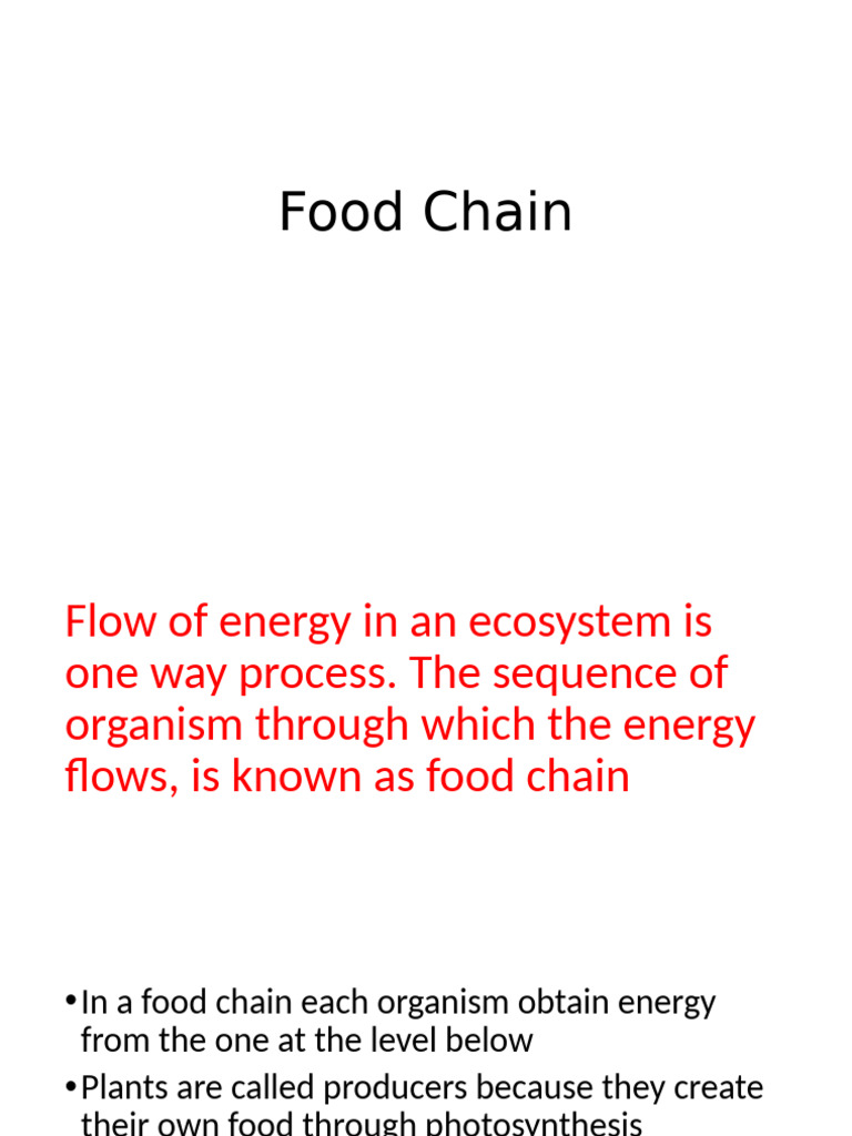 Food Chain | PDF
