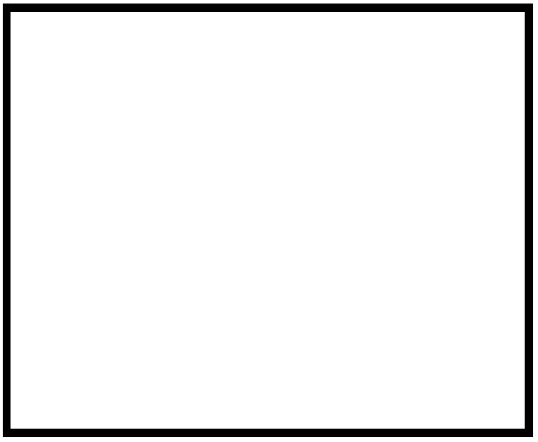 Blank Image | PDF