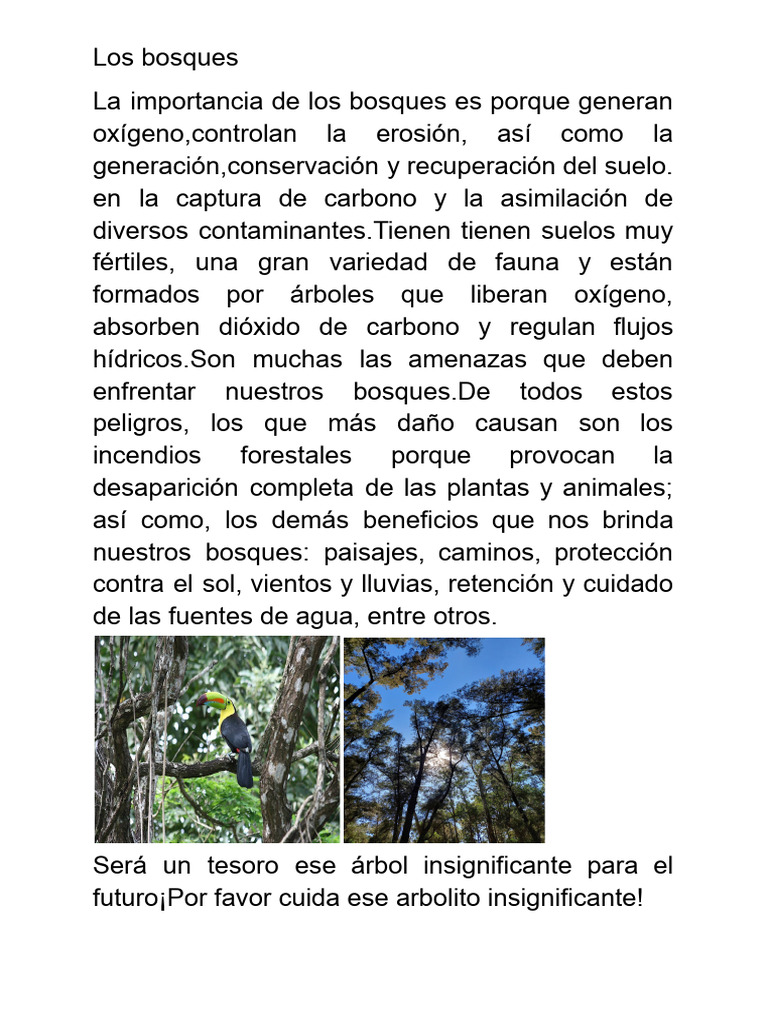 Bosques | PDF