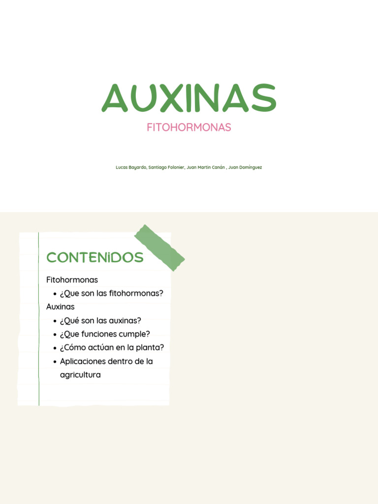 Auxinas | PDF
