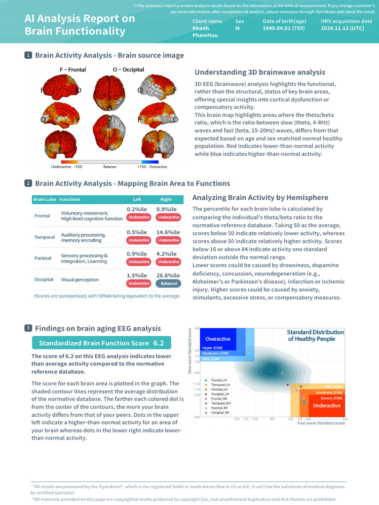 Summary Report EEG | PDF | Temporal Lobe | Parietal Lobe