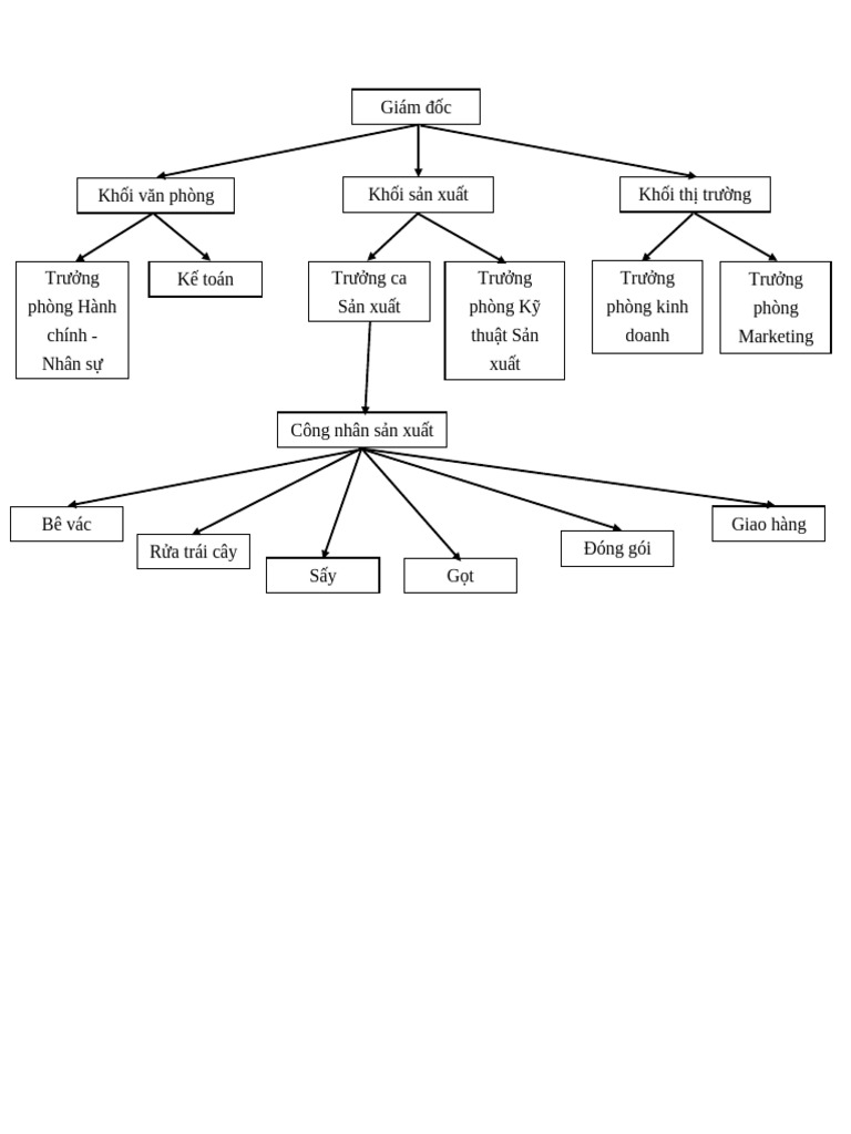 Mindmap Sơ Đ T CH C | PDF