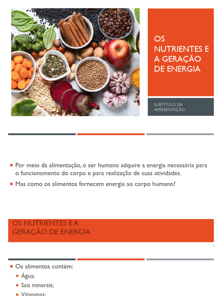 Nutrientes e Geração de Energia Alimentar | PDF | Nutrientes | Organismos