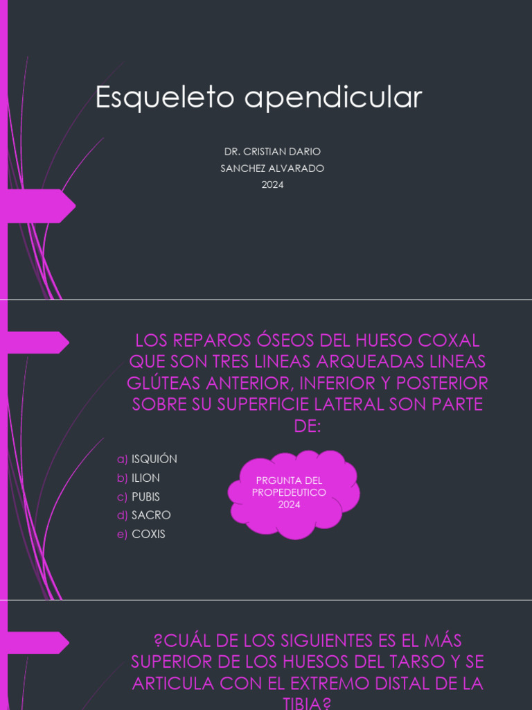 Anatomía del Esqueleto Apendicular | PDF | Articulaciones | Sistema musculoesquelético