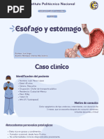 Anatomia, Irrigacion, Inervación Del Esofago y Estomago | PDF ...