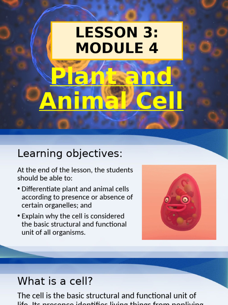 PLANT-AND-ANIMAL-CELL_CELL-THEORY-1 | PDF | Cell (Biology ...