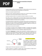 Complejo SNARE y fusión de membranas | PDF | Ácido gamma-aminobutírico ...