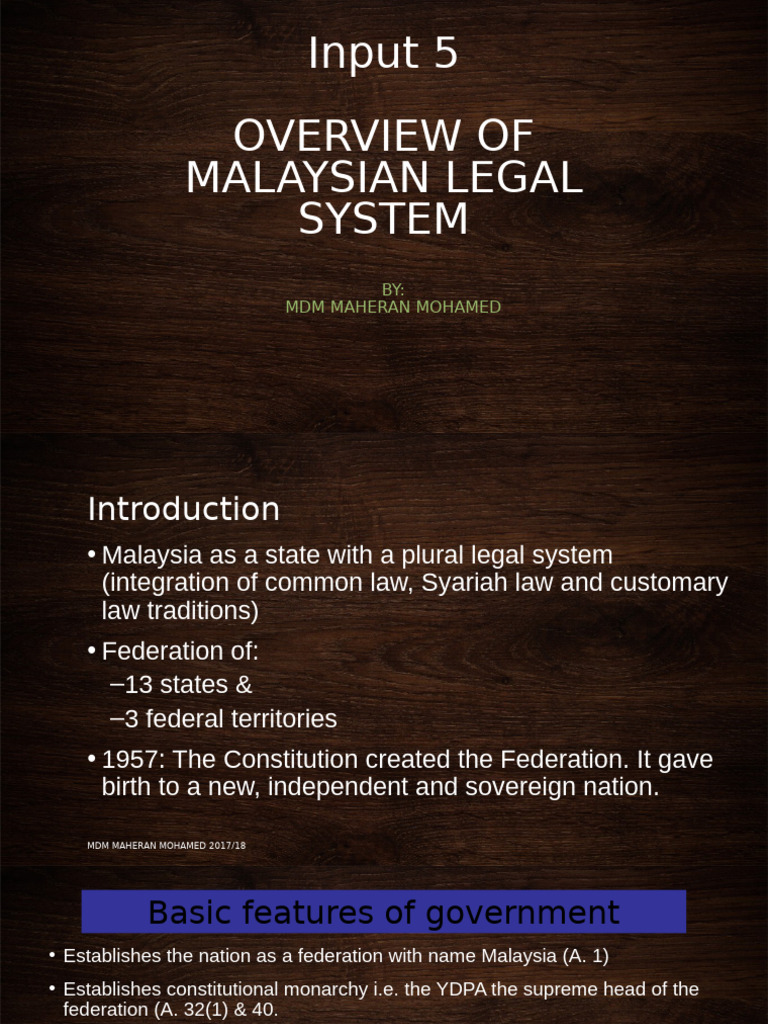 Input 5 Overview of Mls | PDF | Separation Of Powers | Political Science