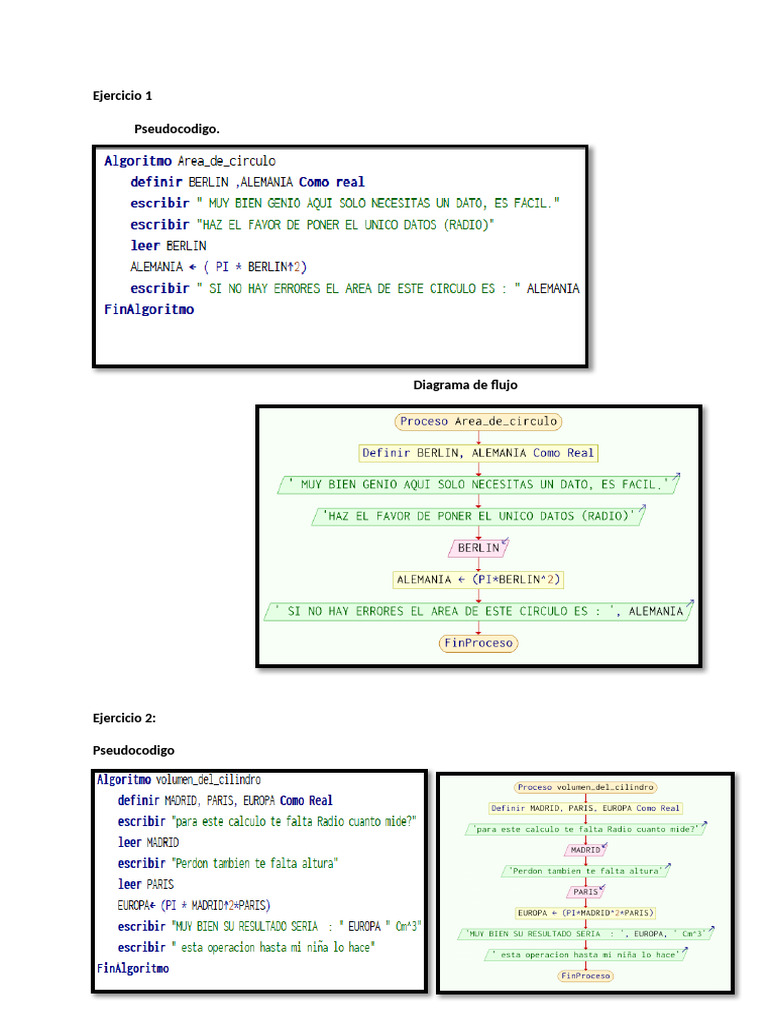 Ejercicio 1 Pseudocodigo | PDF