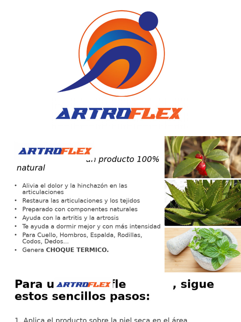 Presentación Artroflex 2 | PDF