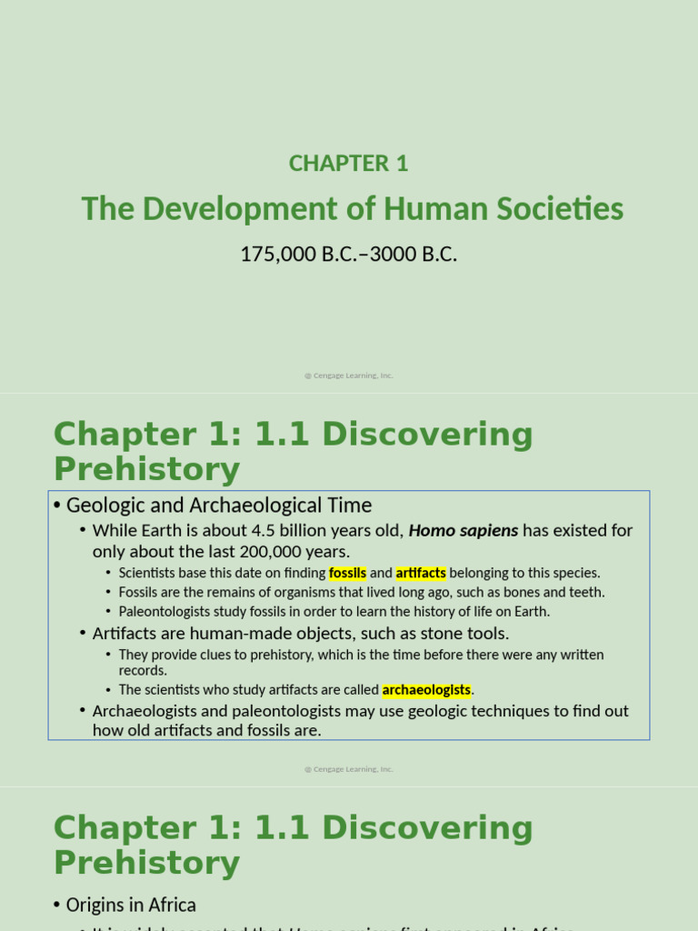 Early Human Societies & Migration | PDF | Hunter Gatherer | Paleolithic