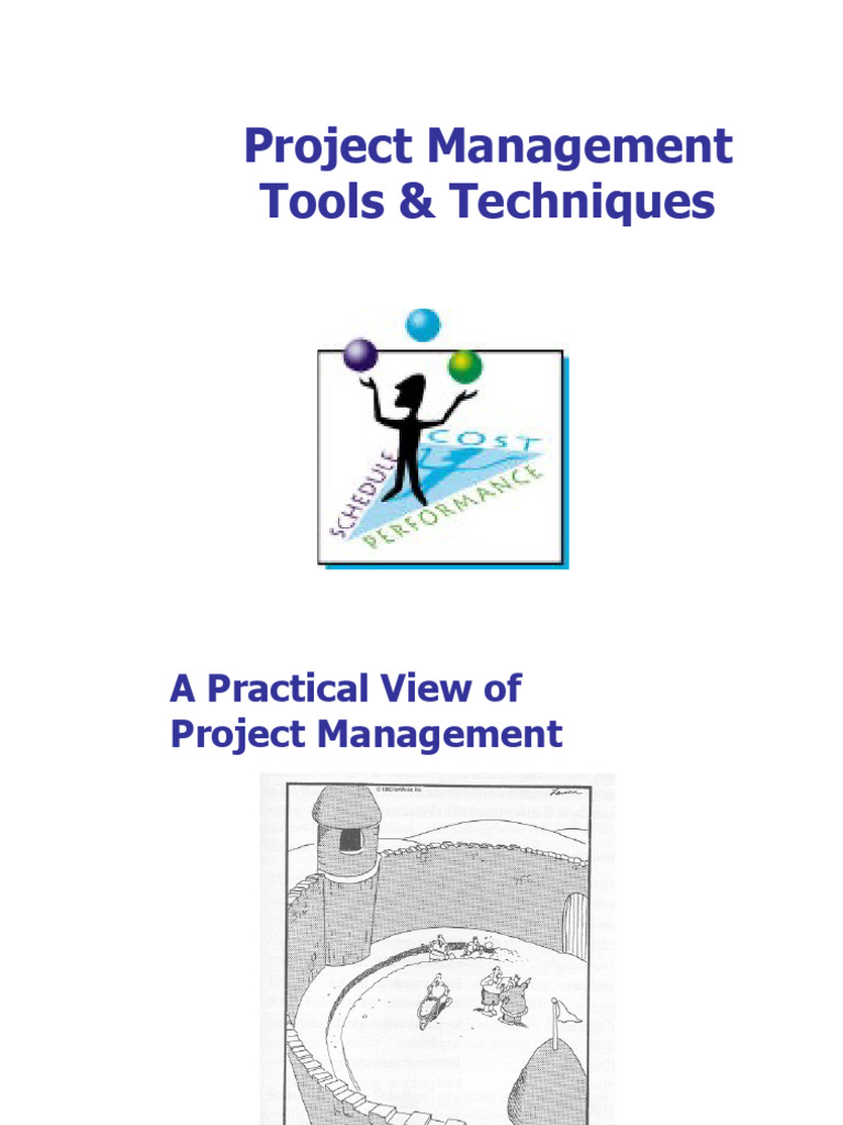 Project Management Tools & Techniques | PDF | Project Management | Risk ...
