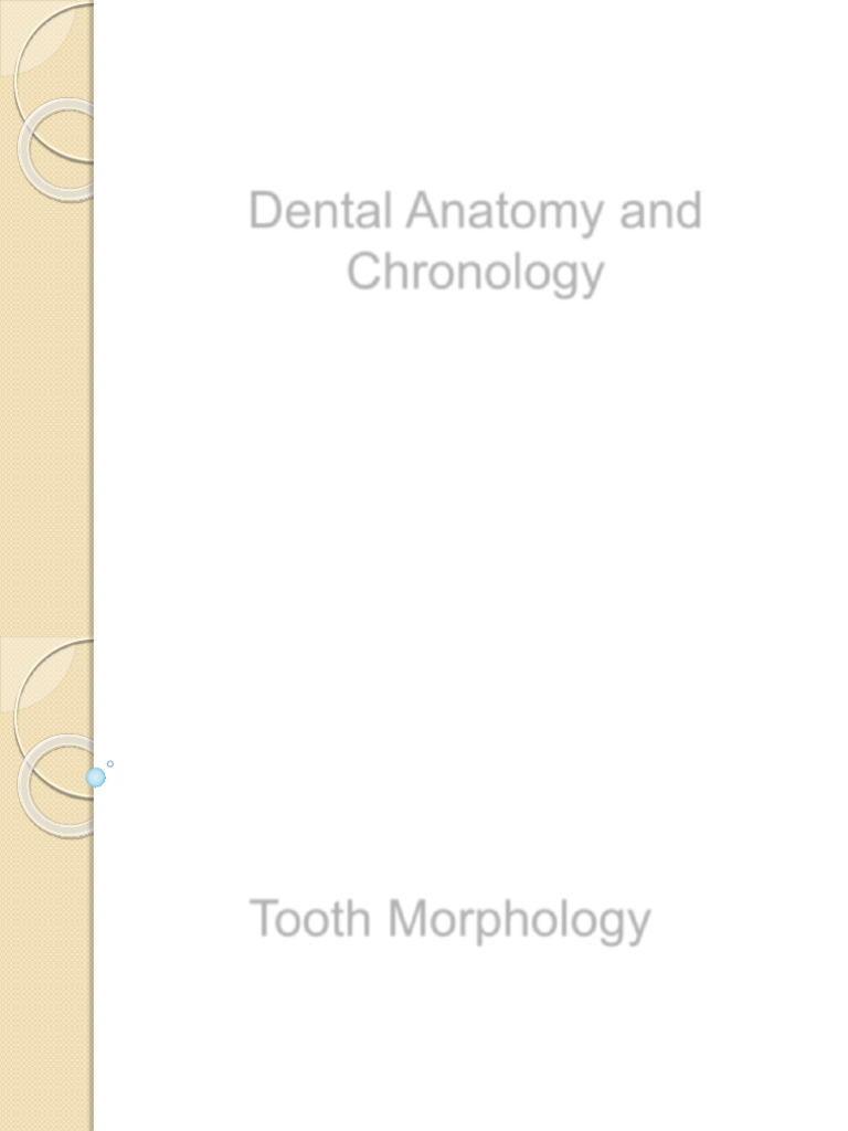 Dental Anatomy/tooth Morphology | PDF | Dental Anatomy | Mouth