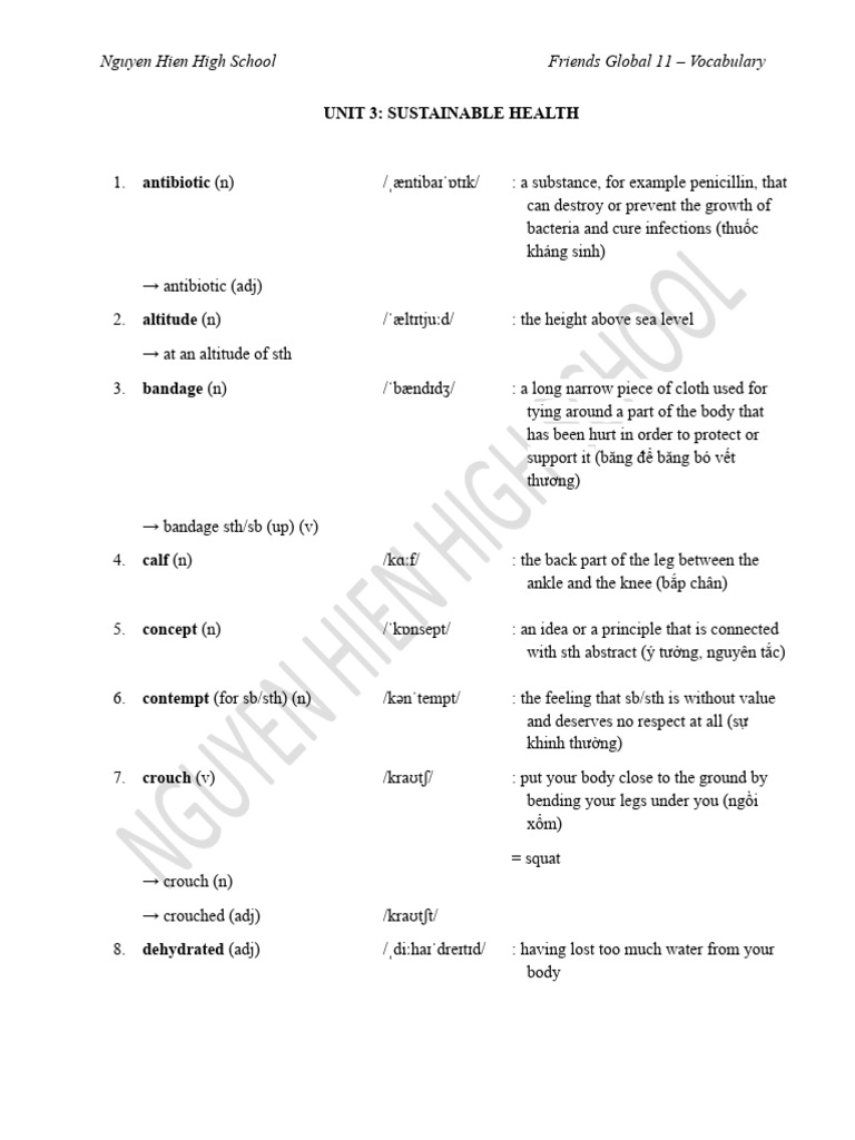 E11-UNIT 3. VOCABULARY | PDF