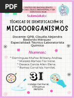 Interacciones Microbianas | PDF | Biología | Microbiología