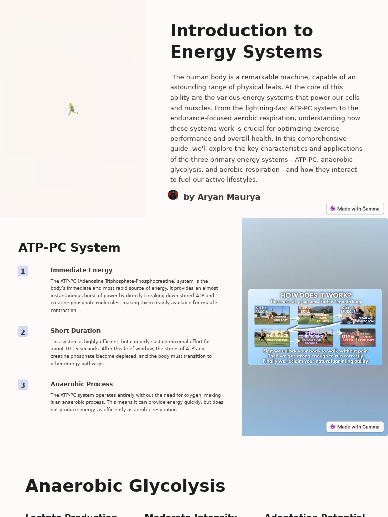 Introduction To Energy Systems | PDF | Cellular Respiration | Aerobic ...