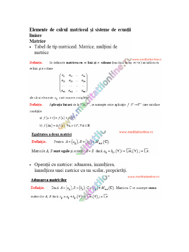 Bac Algebra Rezolvaretemealgebraclasa11 | PDF