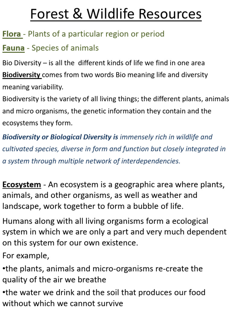 Forest and Wildlife Conservation in India | PDF | Biodiversity | Ecosystem