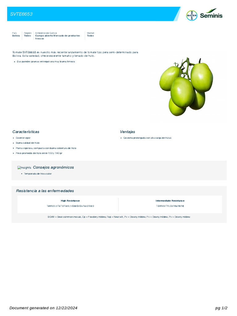 TOMATO_SVTE6653_BOLIVIA_SEMINIS_ALL_OPEN FIELD FRESH MARKET_ALL | PDF ...