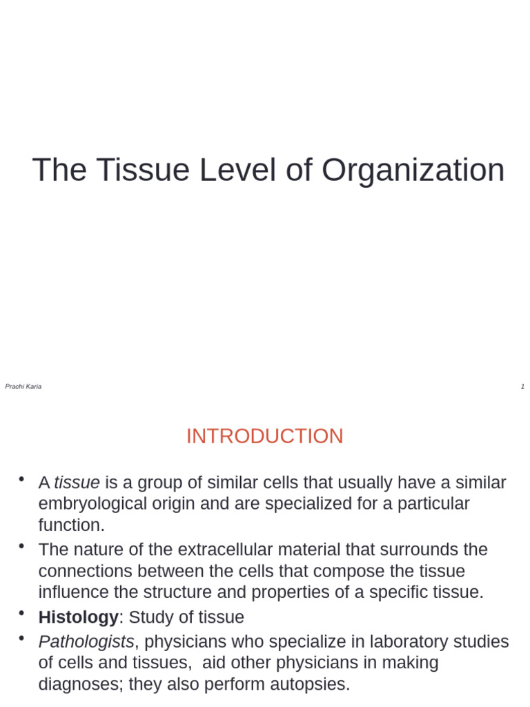 Understanding Tissue Types and Functions | PDF | Epithelium ...