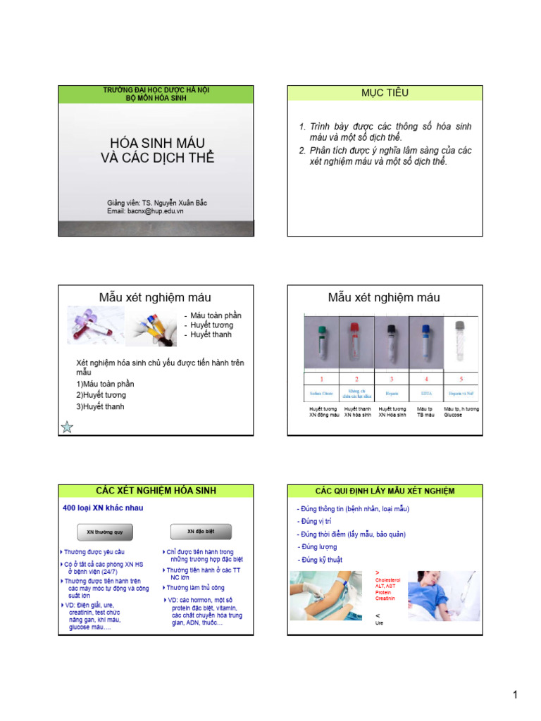 HSLS - Máu, Dịch Thể | PDF