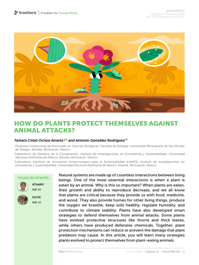 Pre-Ielts reading 5 | PDF | Herbivore | Plants